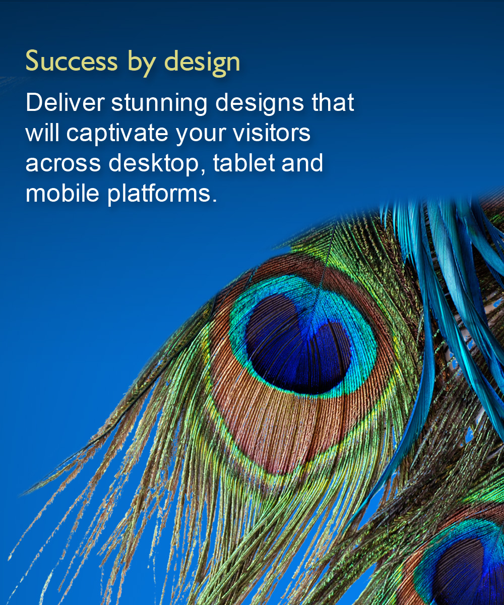 Shrinking Planet - Shrinking Planet